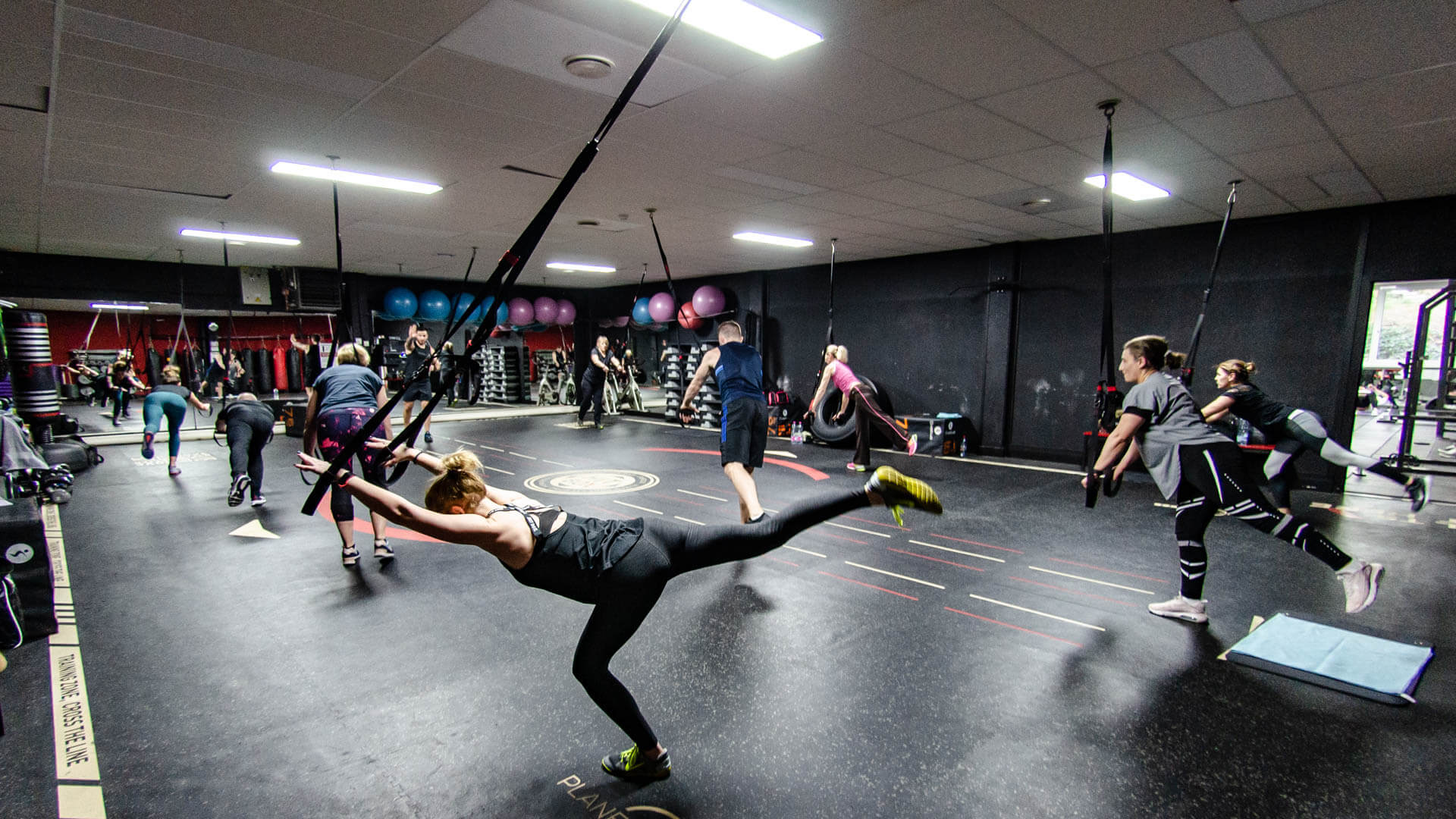 TRX CROSS - European Fitness Paradise